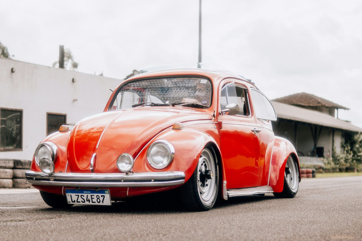 Jogo do Bicho e Loteria: sonhos e significados! Número da sorte ...